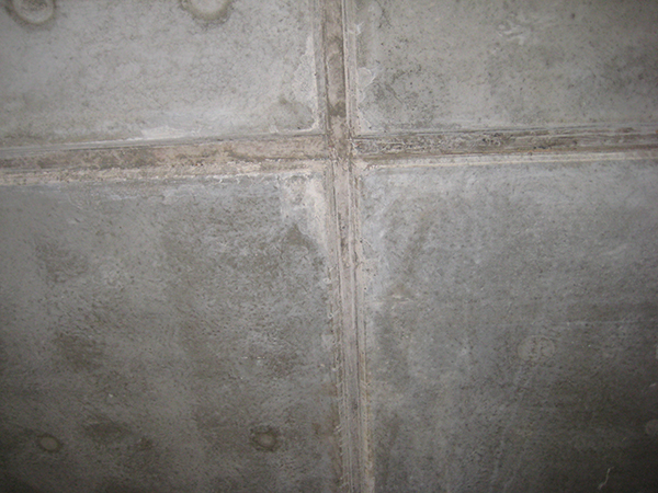 BubbleDeck North America LLC - Advancing Concrete Design & Construction